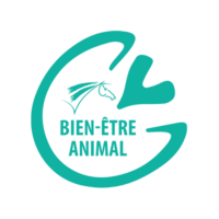 L'histoire fascinante de l'Étrier de Paris